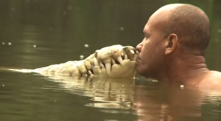 Crocodile cuddles | eyes4earth.org