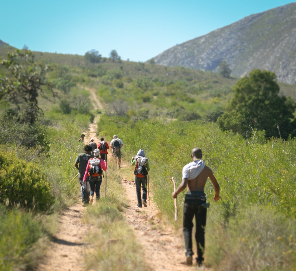 Exploring meaningful nature experience, connectedness with nature and ...