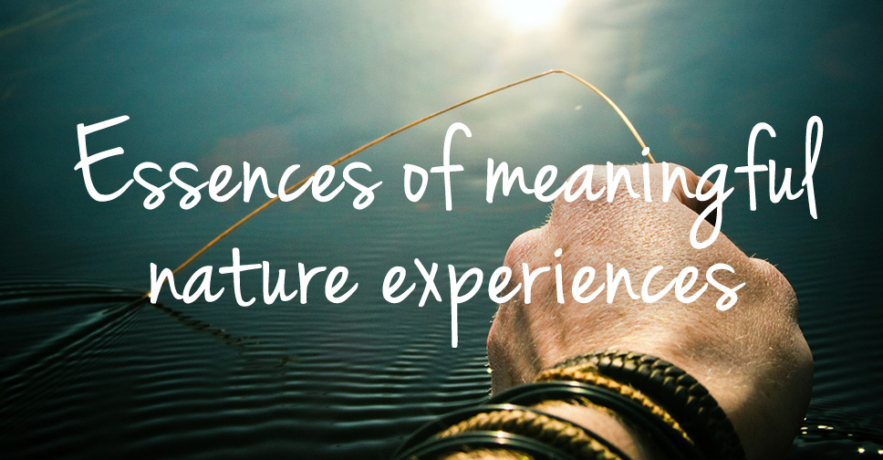 The essence of meaningful nature experience | eyes4earth.org